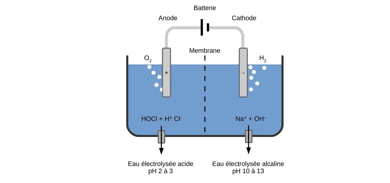 Eau électrolysée - Sous le microscope